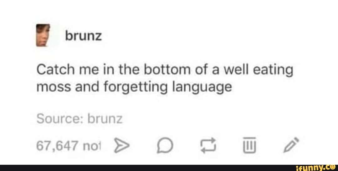 Catch me in the bottom of a well eating moss and forgetting language ...
