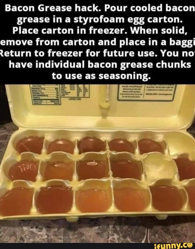 Bacon Grease hack. Pour cooled bacon grease in a styrofoam egg carton ...