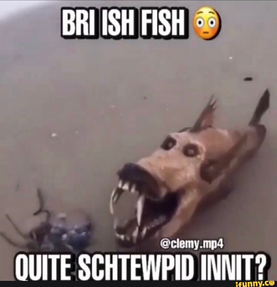 Picture memes JlNg5cEfA by Yoshi: 28 comments - iFunny