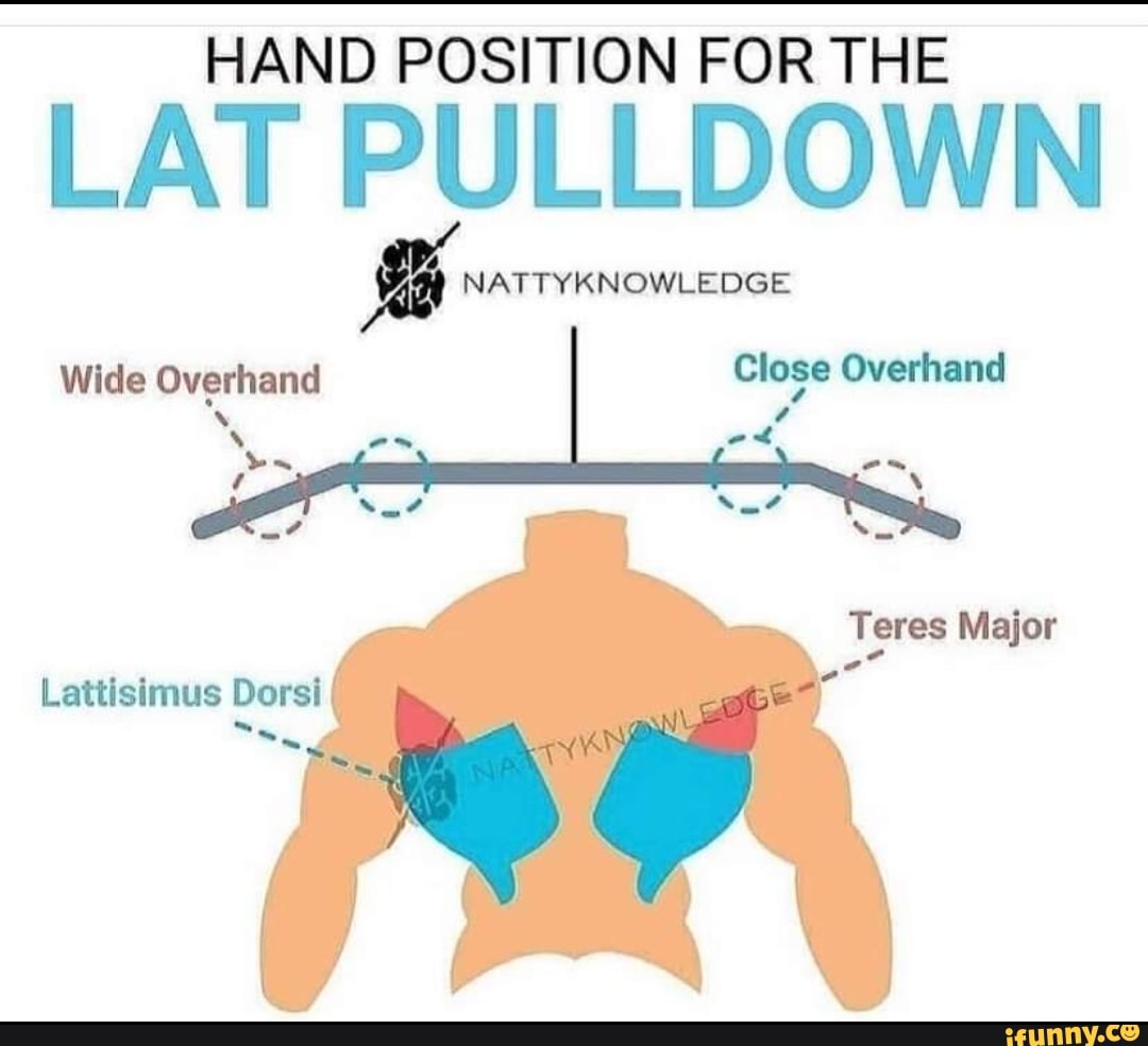 HAND POSITION FOR THE LAT PULLDOWN NATTYKNOWLEDGE Wide Overhand Close Overhand on Teres Major ...