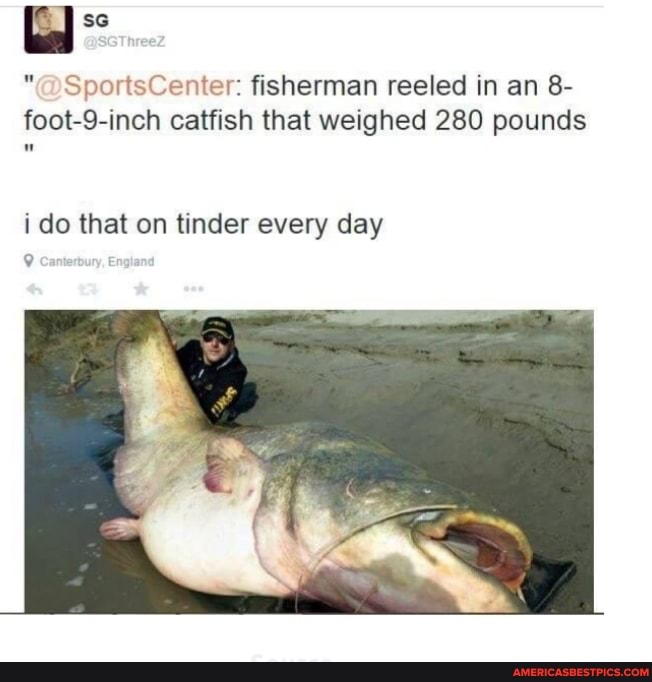 OrtsCenter: fisherman reeled in an 8- foot- 9- inch catfish that ...