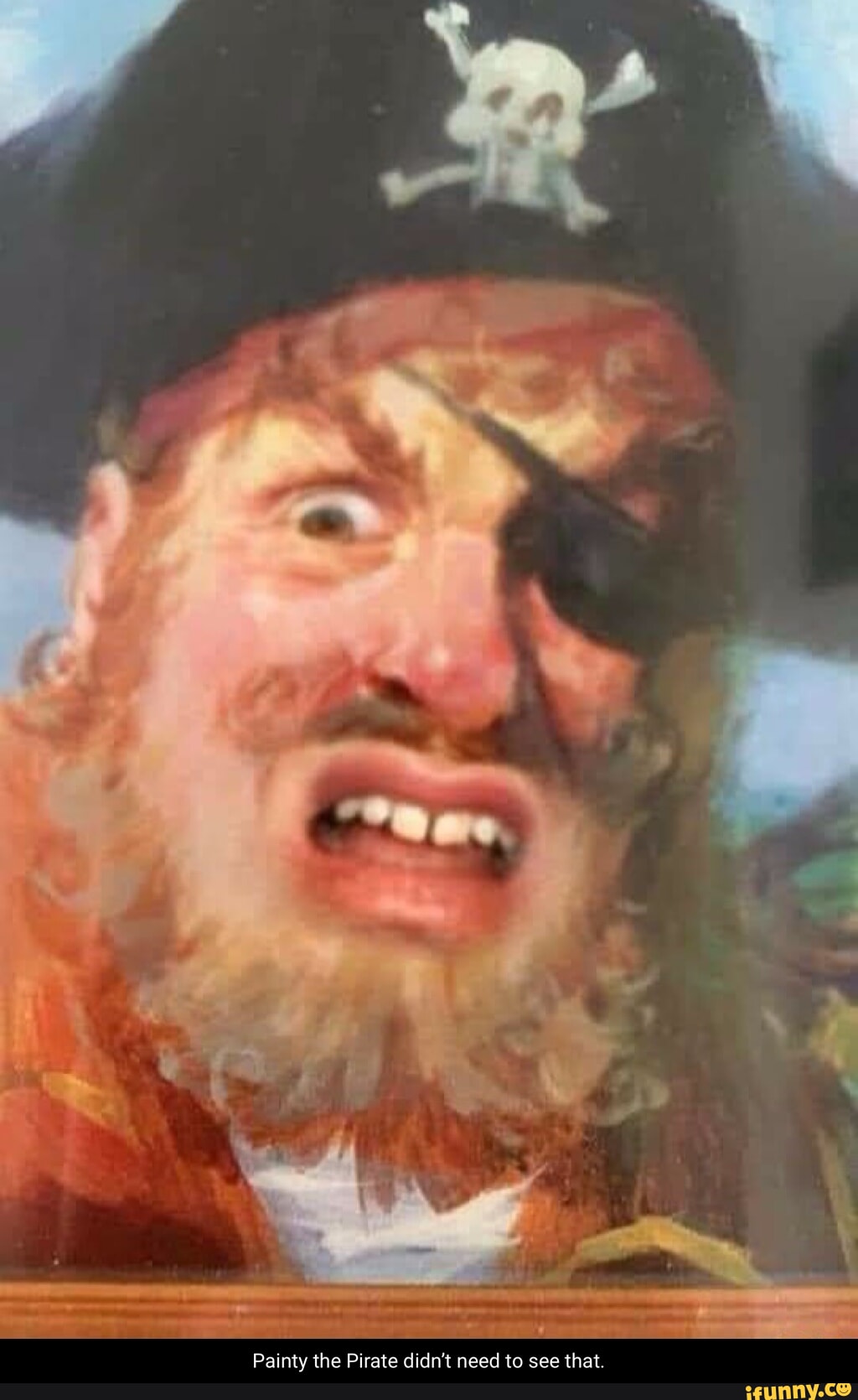 Painty the Pirate didn't need to see that - iFunny