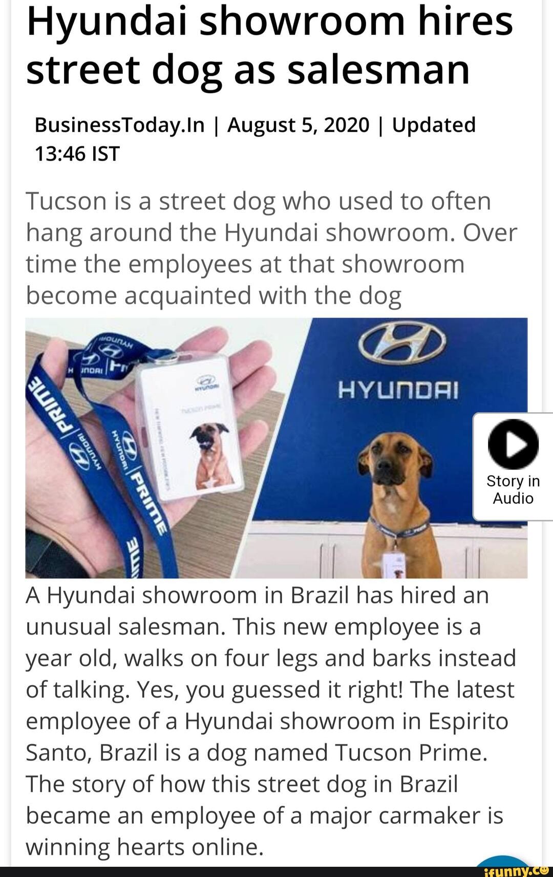 Hyundai showroom hires street dog as salesman BusinessToday.In I August ...