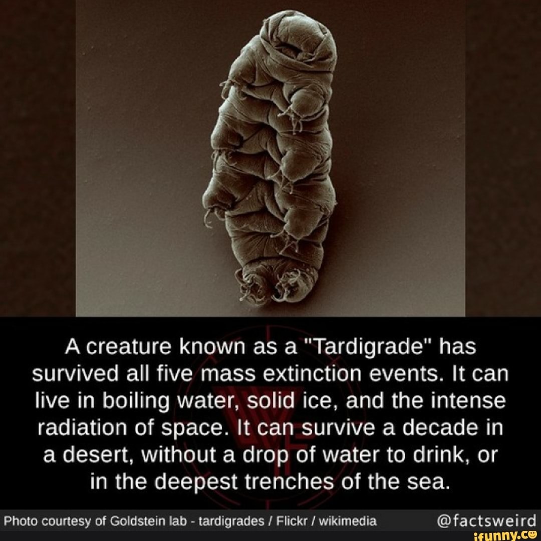 A creature known as a "Tardigrade" has survived all five mass ...