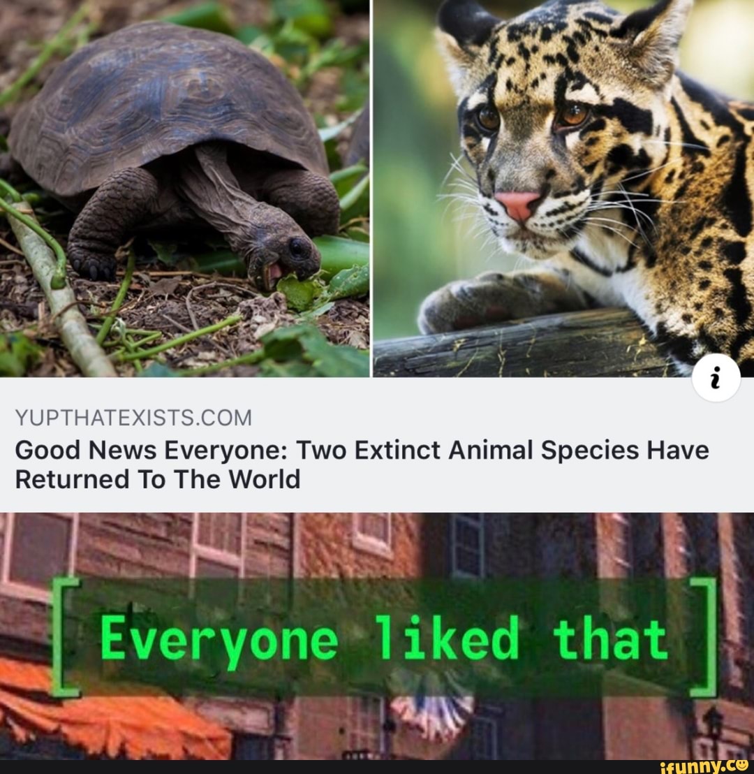 YUPTHATEXISTSCOM Good News Everyone: Two Extinct Animal Species Have ...