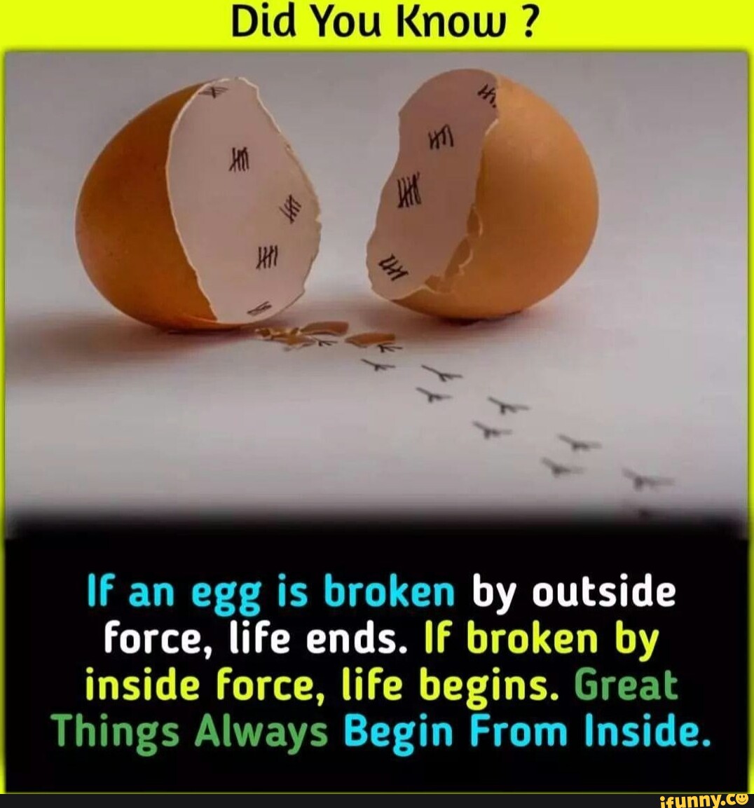 Did You Know ? IF an egg is broken by outside force, life ends. If broken by inside force, life ...