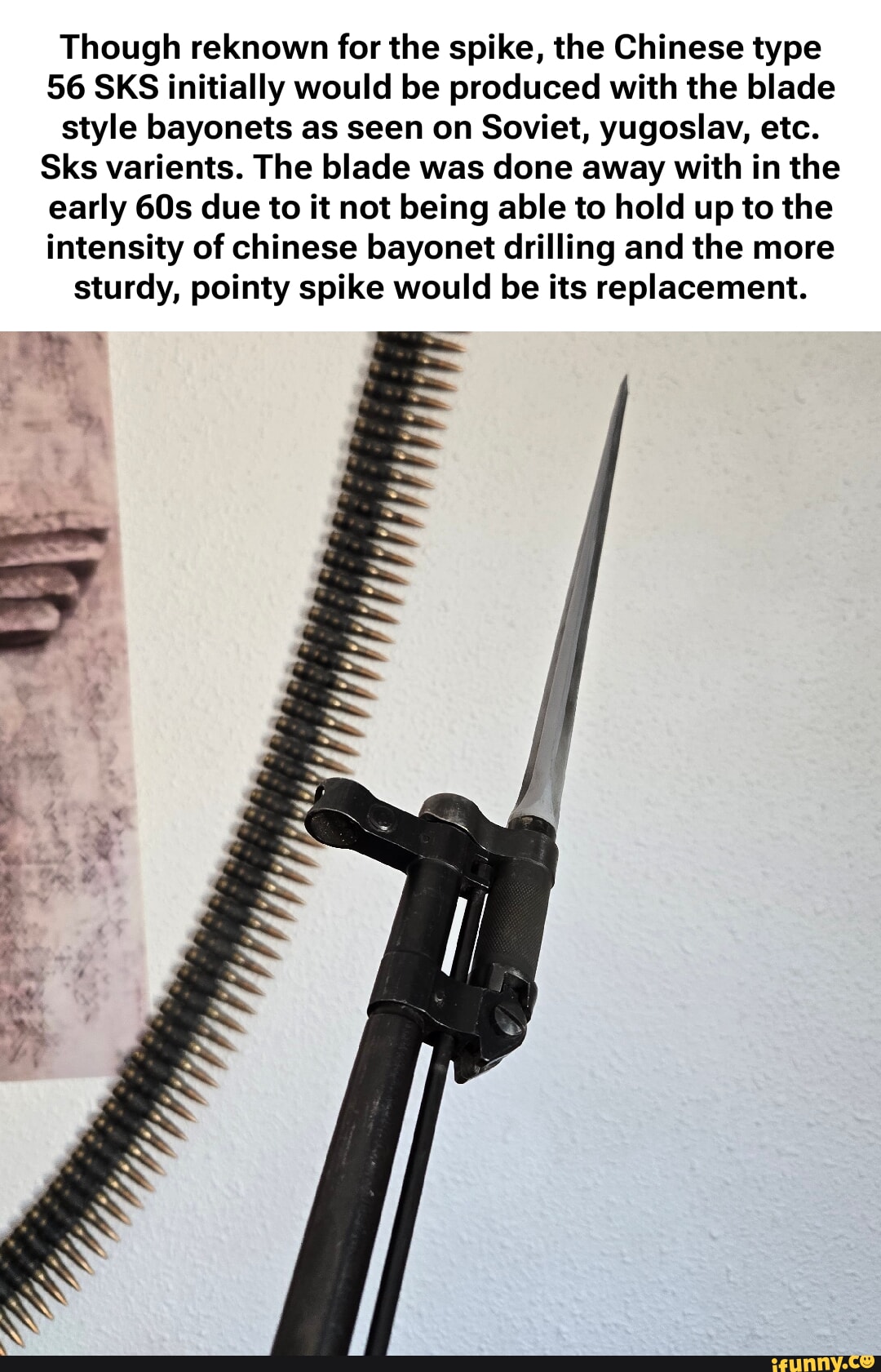 Sks memes. Best Collection of funny Sks pictures on iFunny