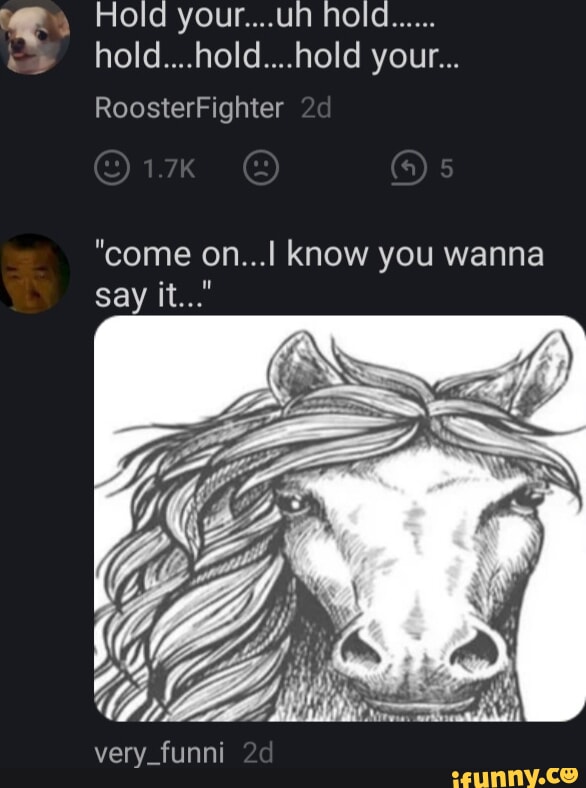 Hold....hold....hold your... RoosterFighter Hold your....un hold ...