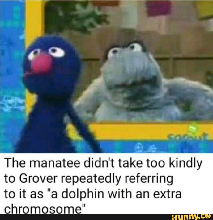 Grover memes. Best Collection of funny Grover pictures on iFunny