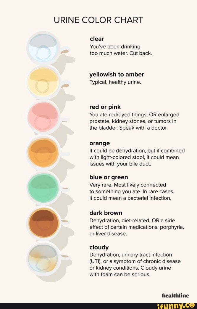 URINE COLOR CHART clear You've been drinking too much water. Cut back ...