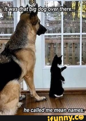 What Happens When You Do the Frog Pose Regularly The frog pose opens ...