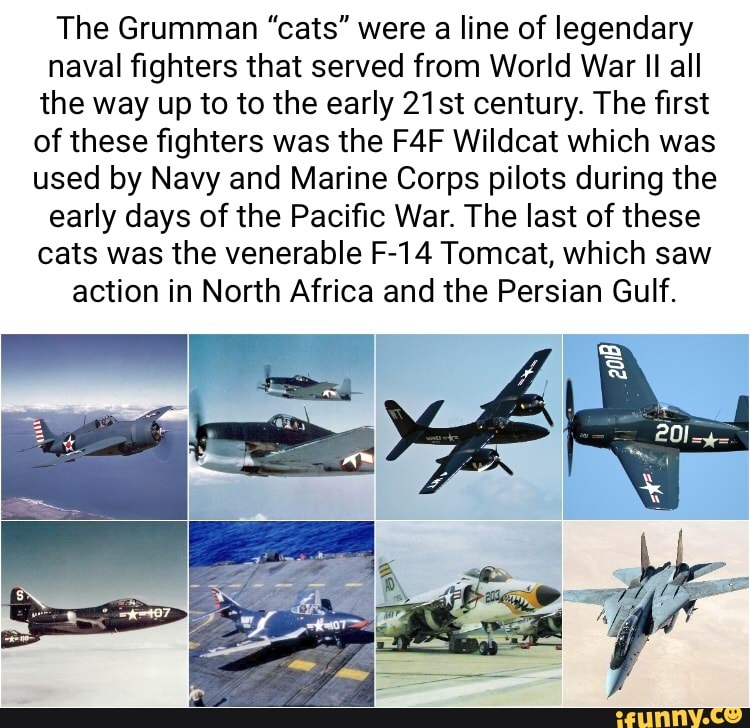 The Grumman "cats" were a line of legendary naval fighters that served ...