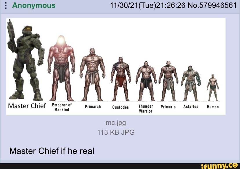 Meet Morty, we believe he was a horse in a past life - )