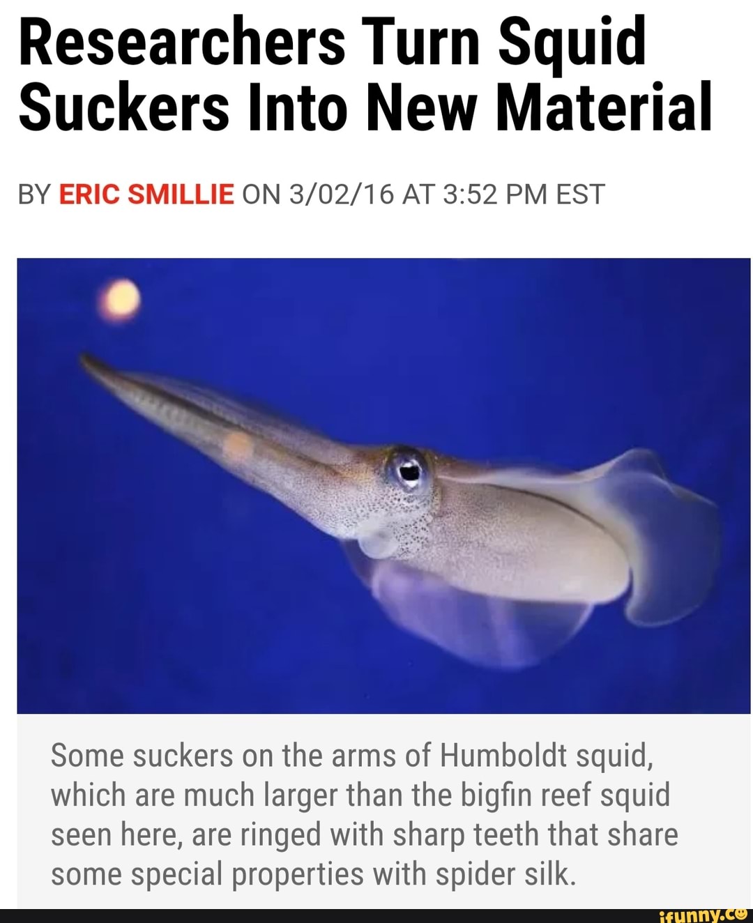 The Squid With Teeth