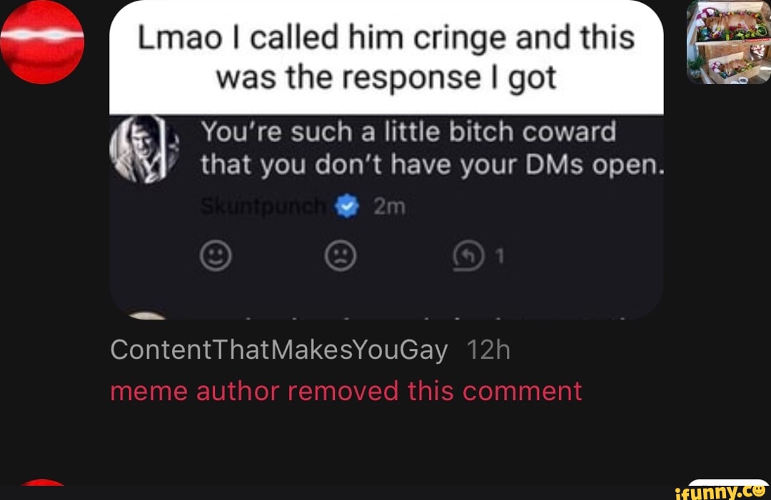 Contentthatmakesyougay memes. Best Collection of funny ...