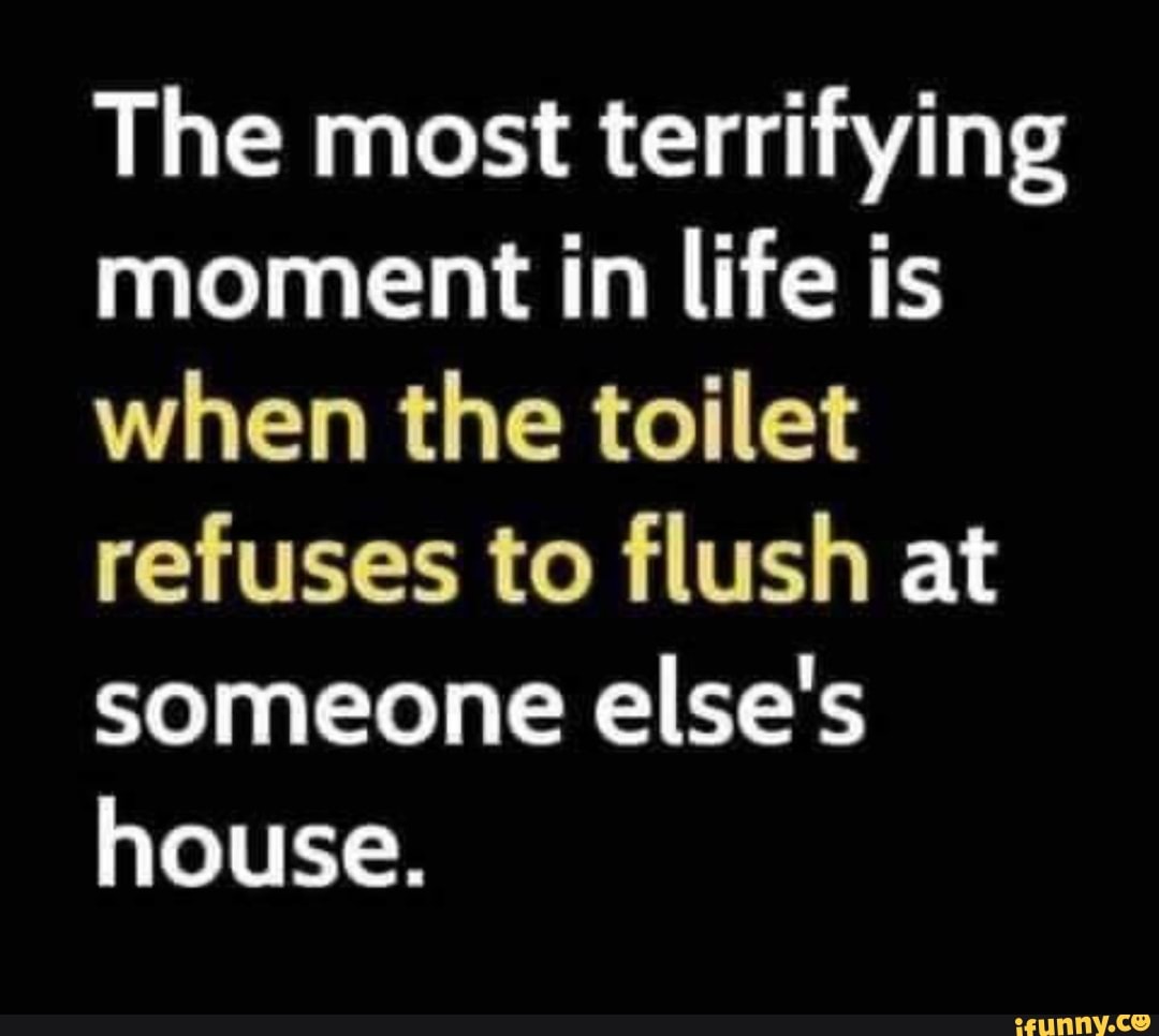The most terrifying moment in life is when the toilet refuses to flush ...