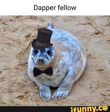 Dapper fellow - iFunny