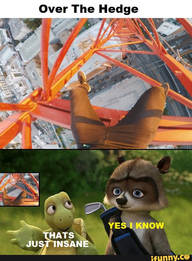 Rj Over The Hedge Thats Just Insane Ifunny