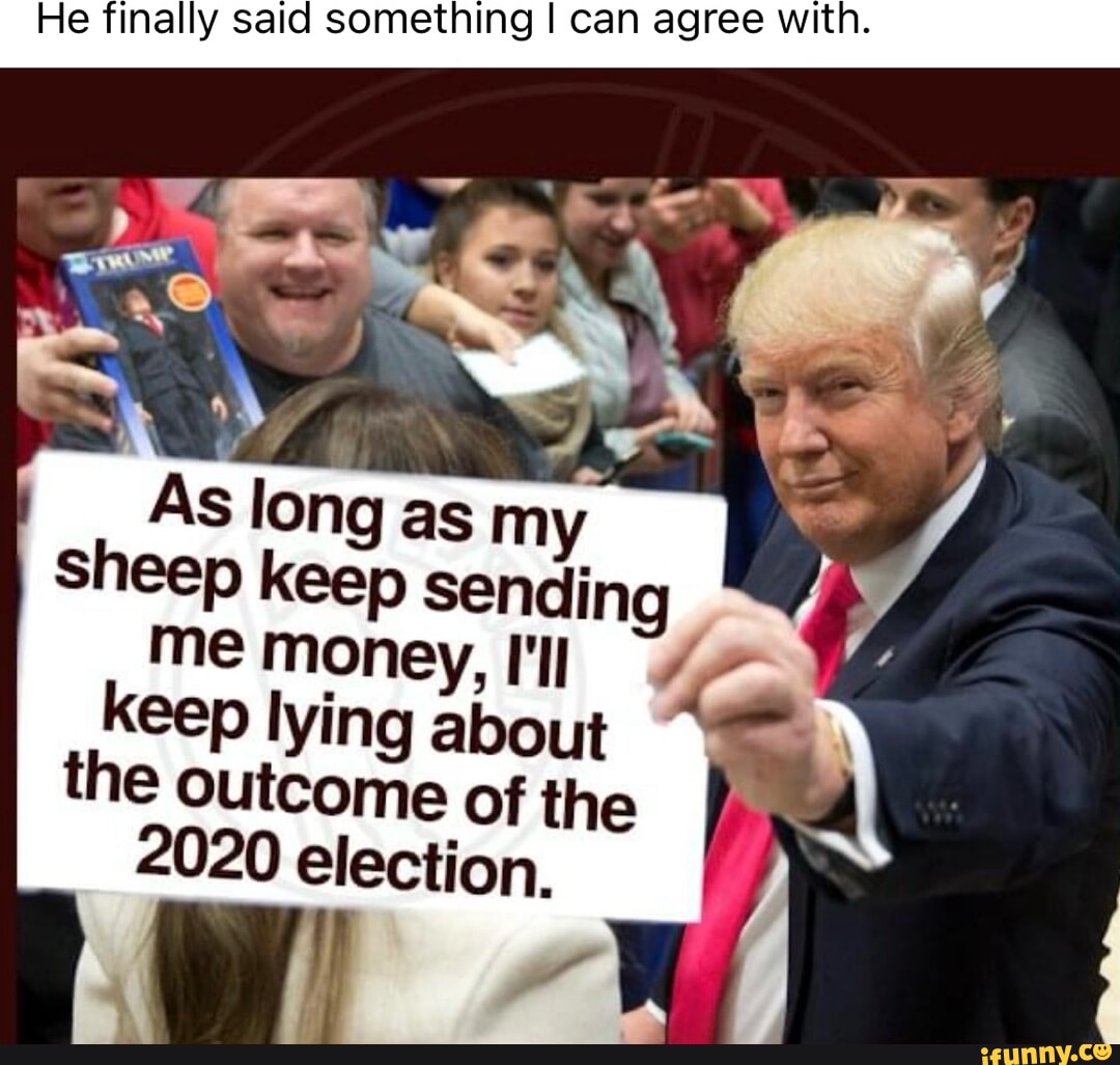 Sheep memes. Best Collection of funny Sheep pictures on iFunny
