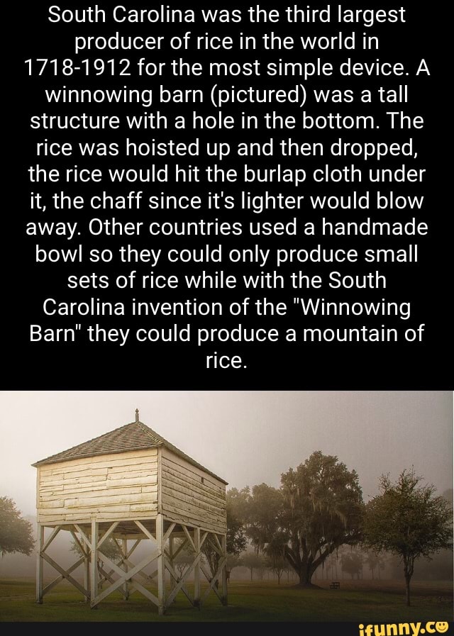 Winnowing memes. Best Collection of funny Winnowing pictures on iFunny