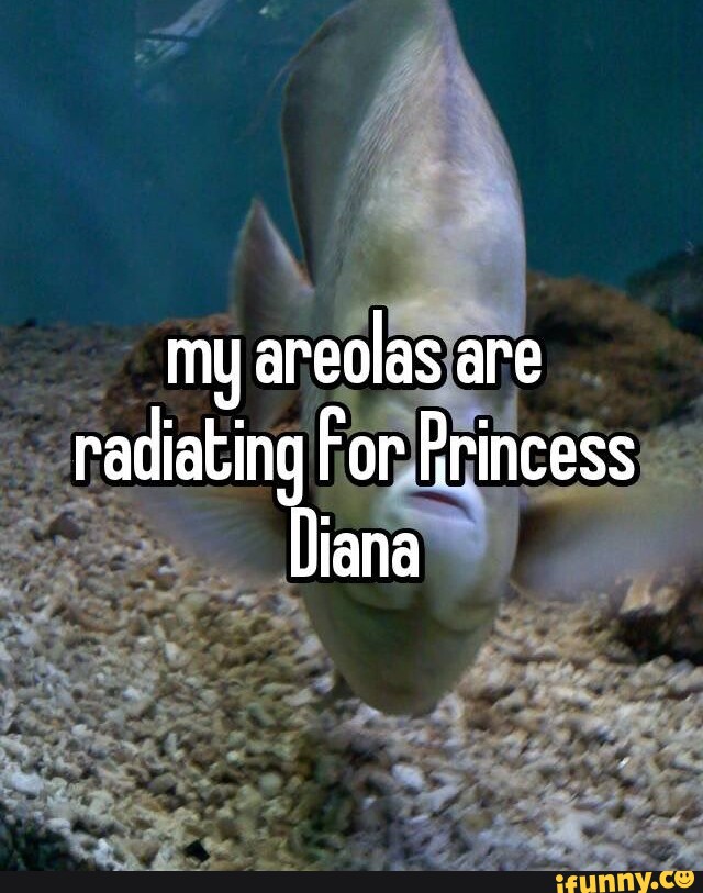 My areolas are radiating For Rrincess Diana - iFunny