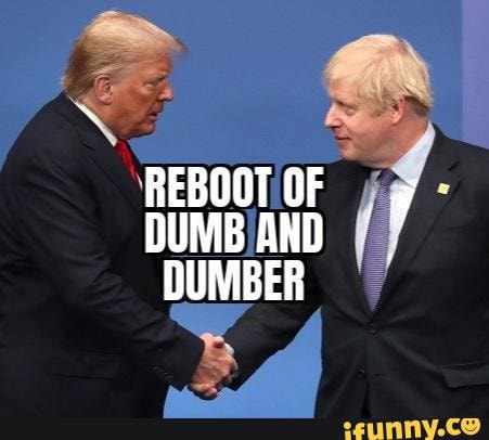 Classic funny meme - REBOOT OF DUMB AND DUMBER - iFunny