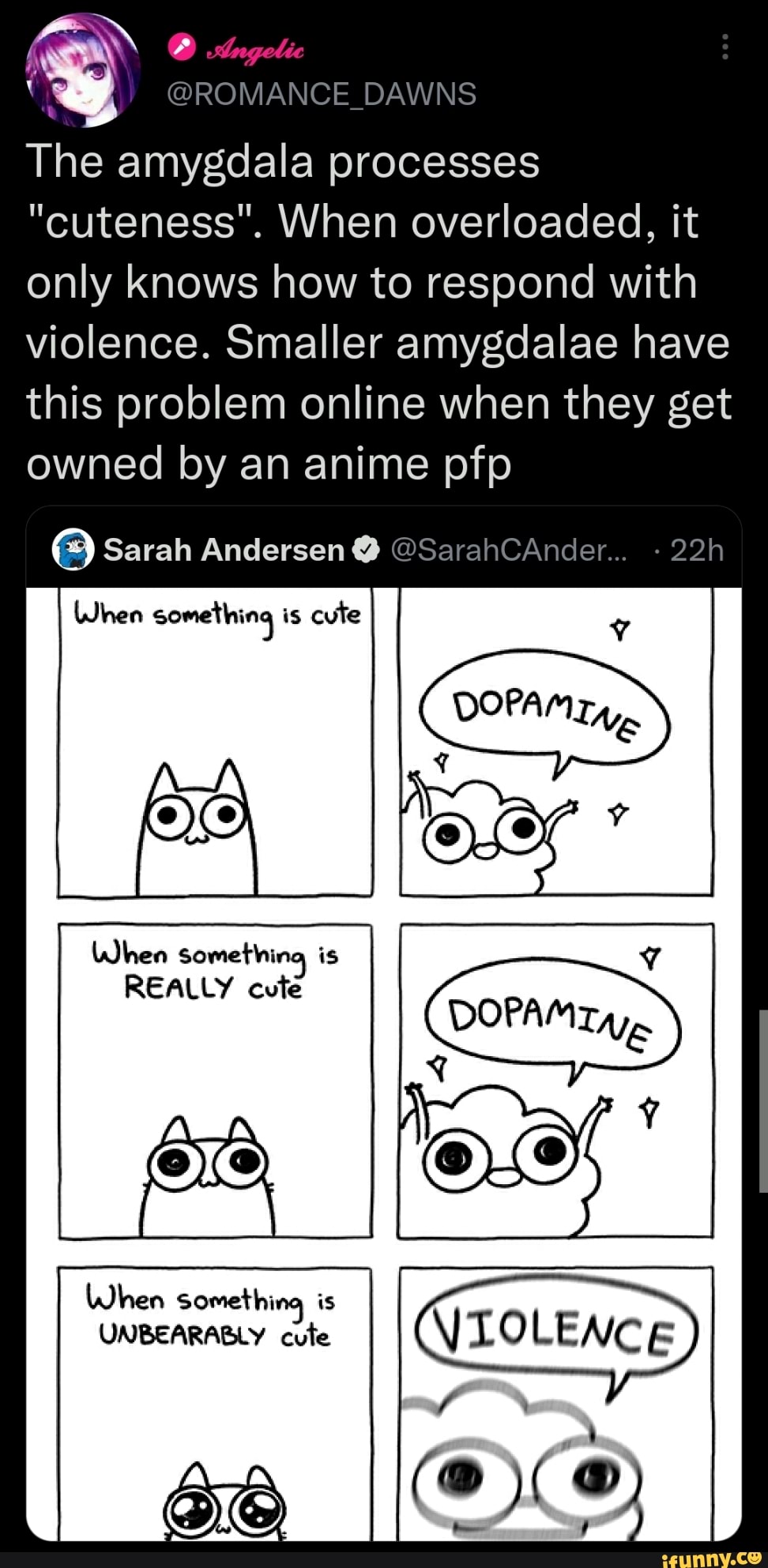 'y E DAWNS The amygdala processes "cuteness". When overloaded, it only ...