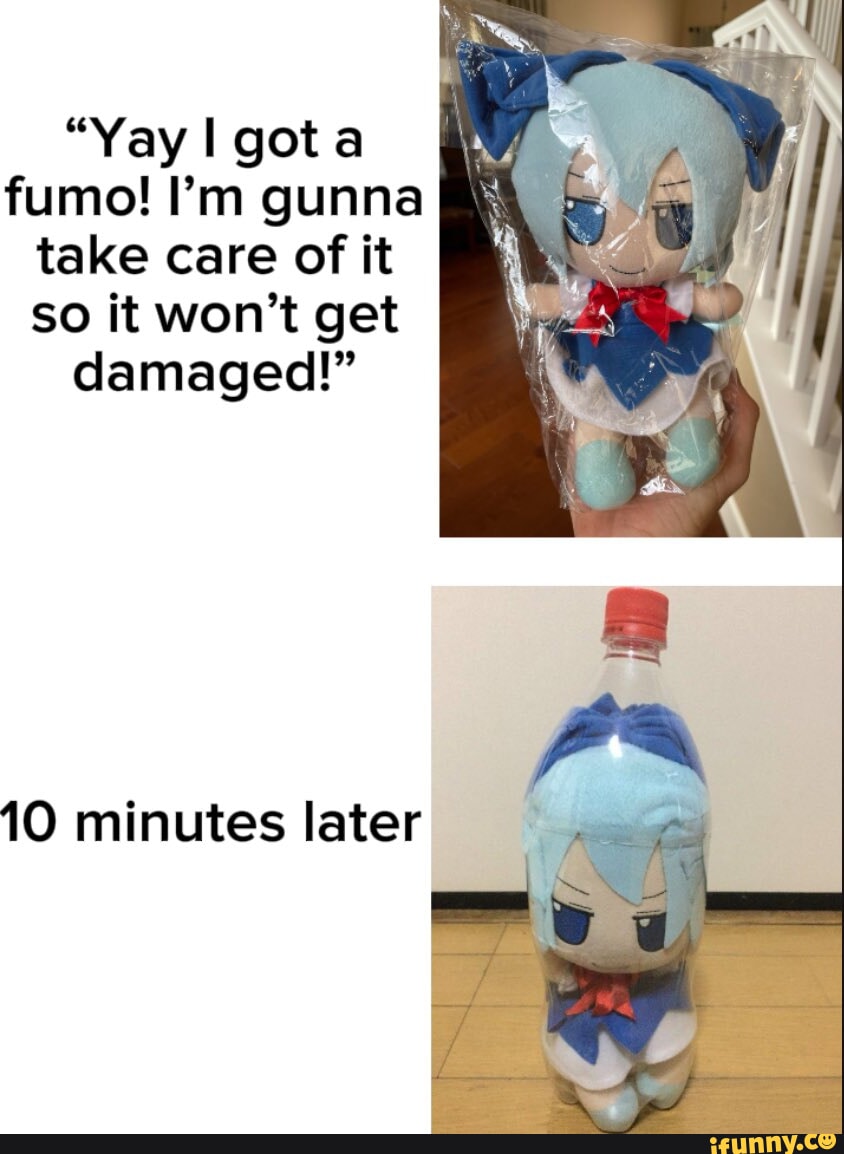 "Yay I got fumo! I'm gunna take care of it so it won't get damaged!" 10 ...