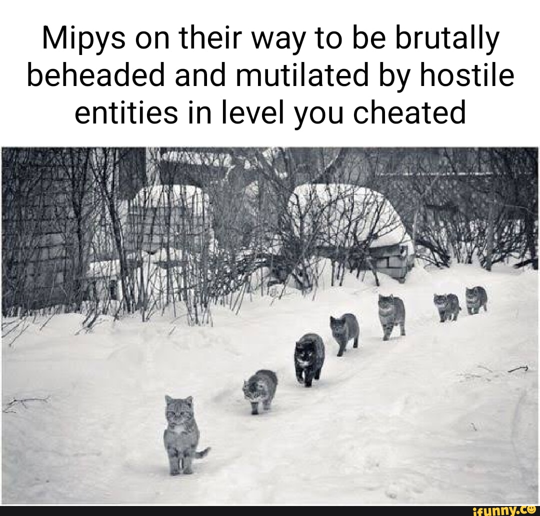 Mipys on their way to be brutally beheaded and mutilated by hostile ...