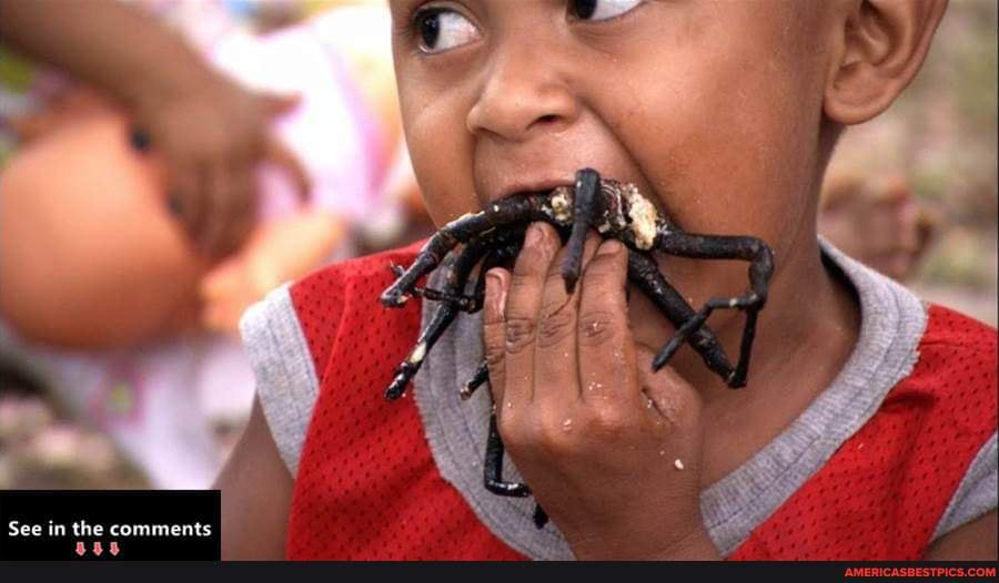 Top 15 Weird Animals People Eat Around the World - See in the comments ...