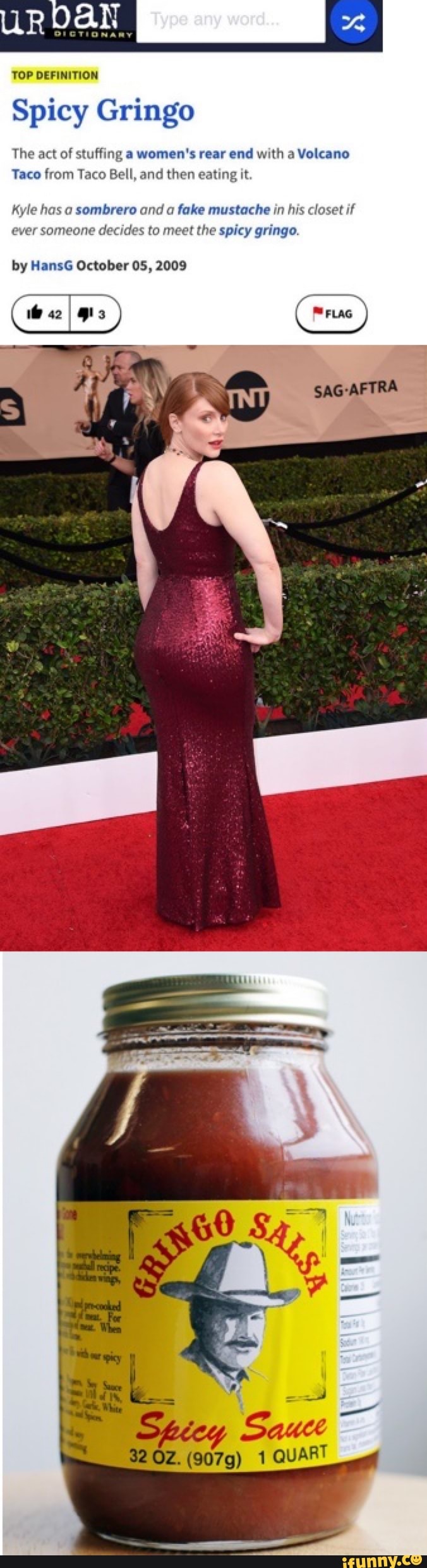 UR TOP DEFINITION Spicy Gringo The act of stuffing a women's rear end ...