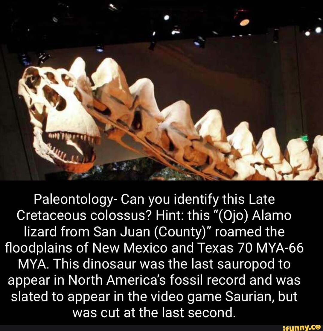 Paleontology- Can you identify this Late Cretaceous colossus? Hint ...