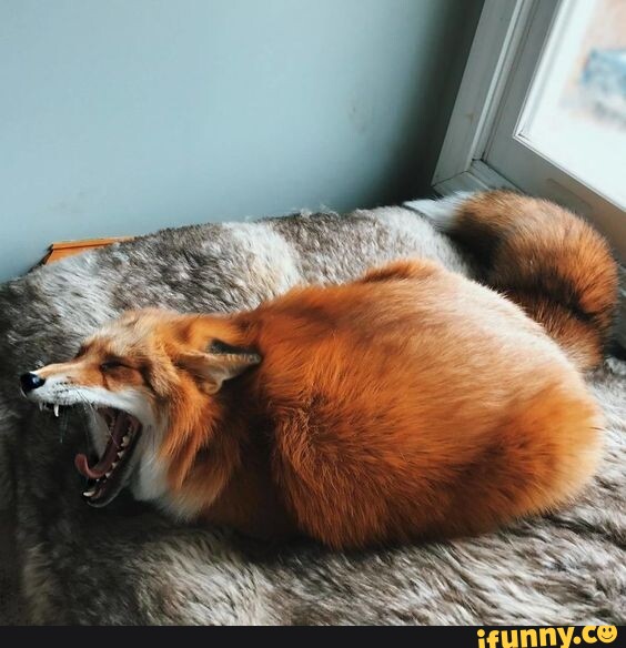 Picture memes sWwno3RIA by EmberKeeper_2020: 26 comments - iFunny