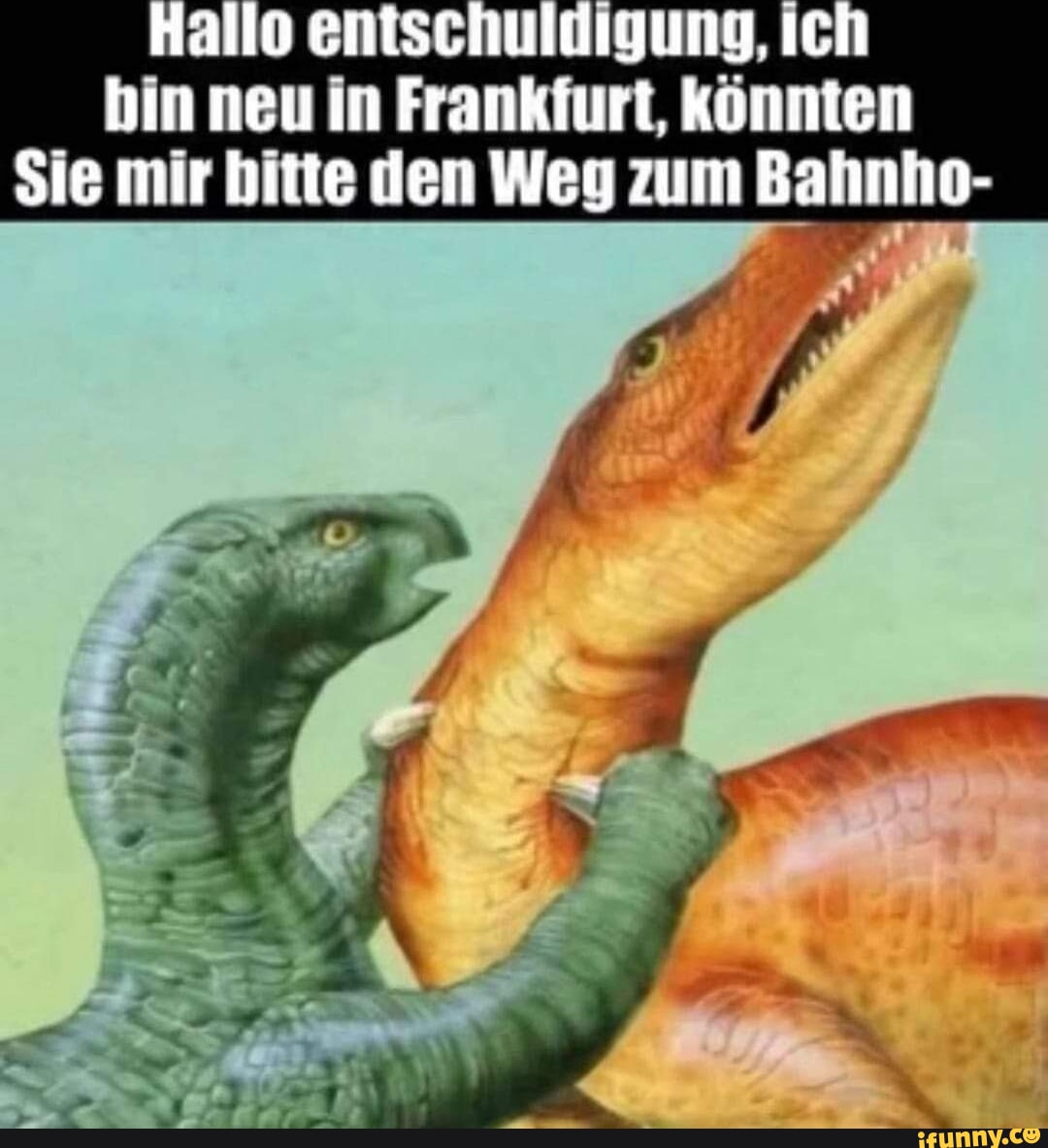 Bitte memes. Best Collection of funny Bitte pictures on Keke