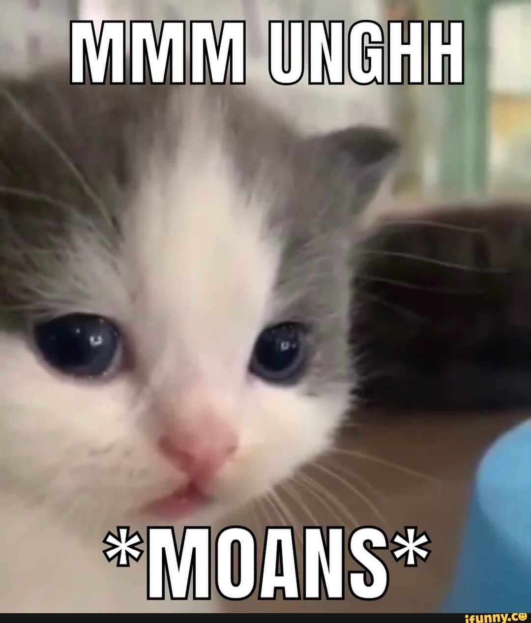 Unghh memes. Best Collection of funny Unghh pictures on iFunny