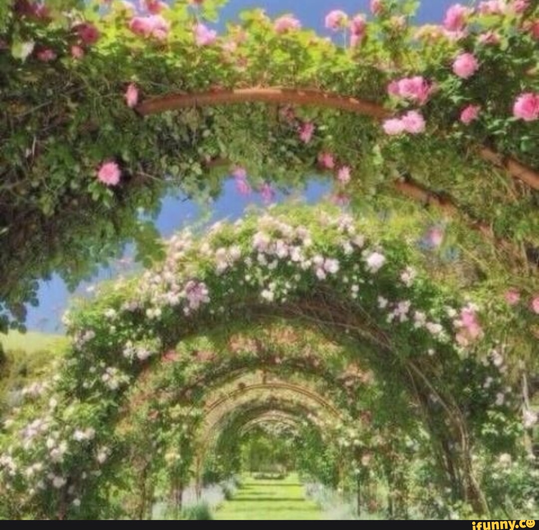 Cottagecore memes. Best Collection of funny Cottagecore pictures on iFunny