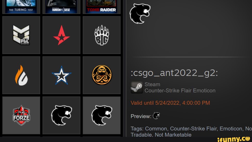 TURING RAISER 6 * @ Steam Counter-Strike Flair Emoticon Valid until 24 ...