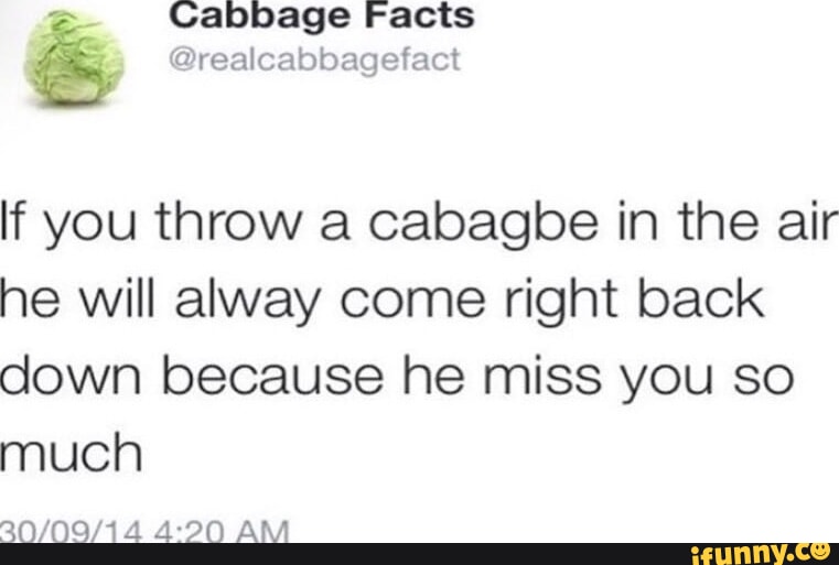> Cabbage Facts If you throw a cabbage in the air he will away come ...