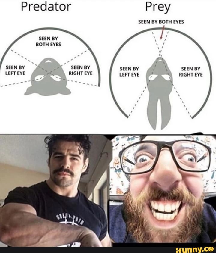Predator Prey SEEN BY BOTH EYES SEEN BY BOTH EYES SEEN BY LEFT EYE SEEN ...