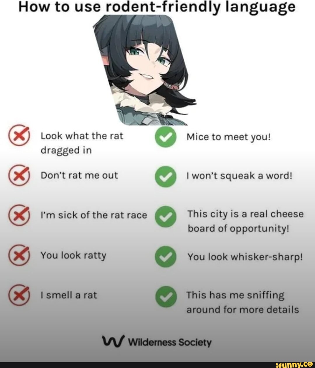 How to use rodent-friendly language Look what the rat Mice to meet you ...