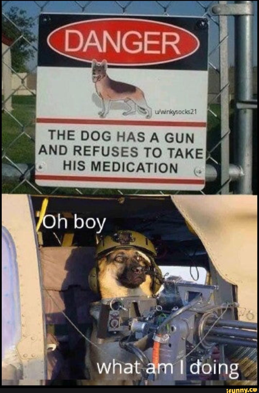 THE DOG HAS A GUN AND REFUSES TO TAKE} HIS MEDICATION - iFunny