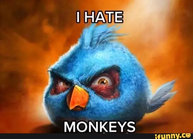 HATE MONKEYS - iFunny