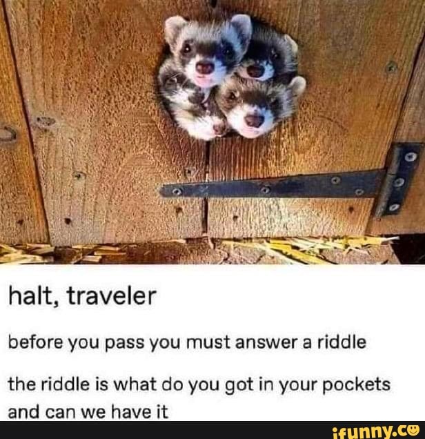 Halt, traveler before you pass you must answer a riddle the riddle is ...