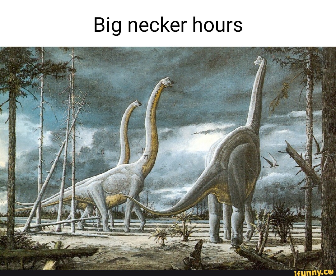 Necker memes. Best Collection of funny Necker pictures on iFunny