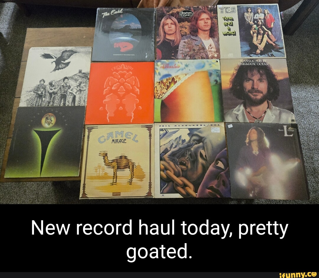 Camel memes. Best Collection of funny Camel pictures on iFunny