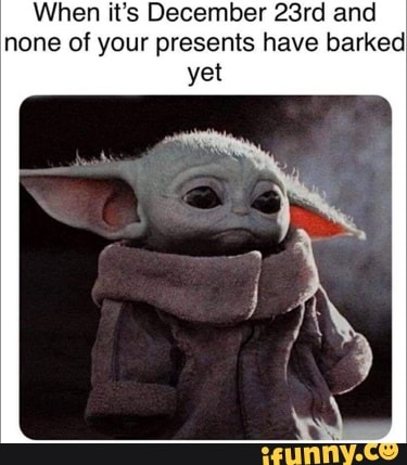 When it's December 23rd and none of your presents have barked yet - iFunny