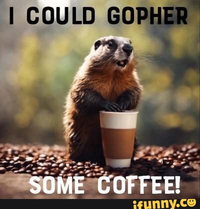 Gopher memes. Best Collection of funny Gopher pictures on iFunny