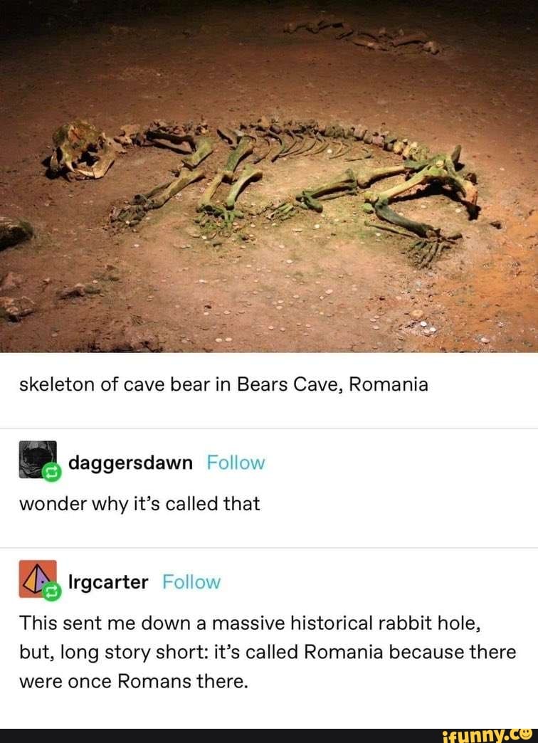 Skeleton of cave bear in Bears Cave, Romania daggersdawn Follow wonder ...