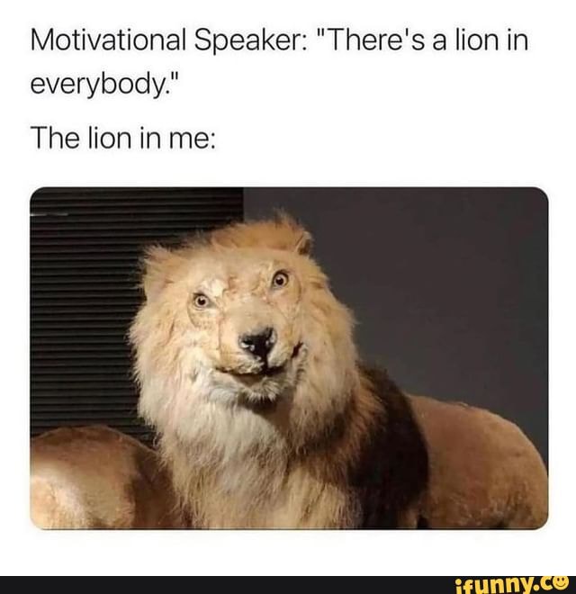 Motivational Speaker: "There's a lion in everybody." The lion in me ...