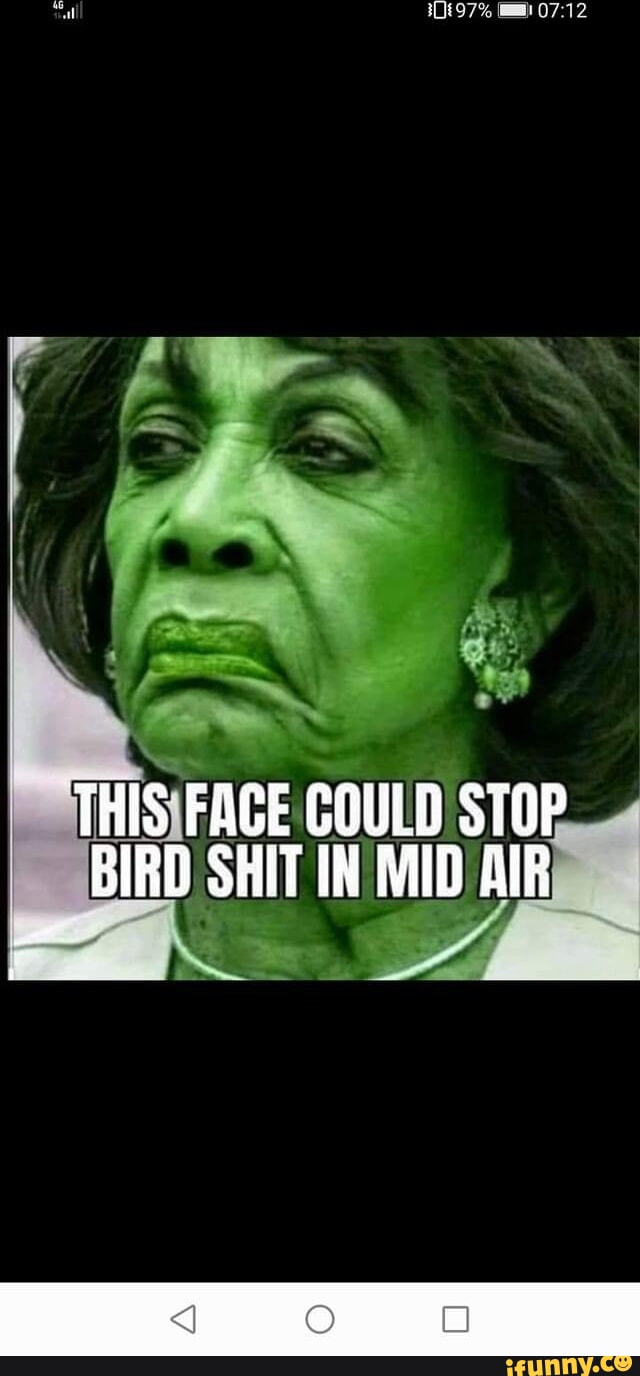THIS FACE COULD STOP BIRD SHIT IN MID AIR - iFunny